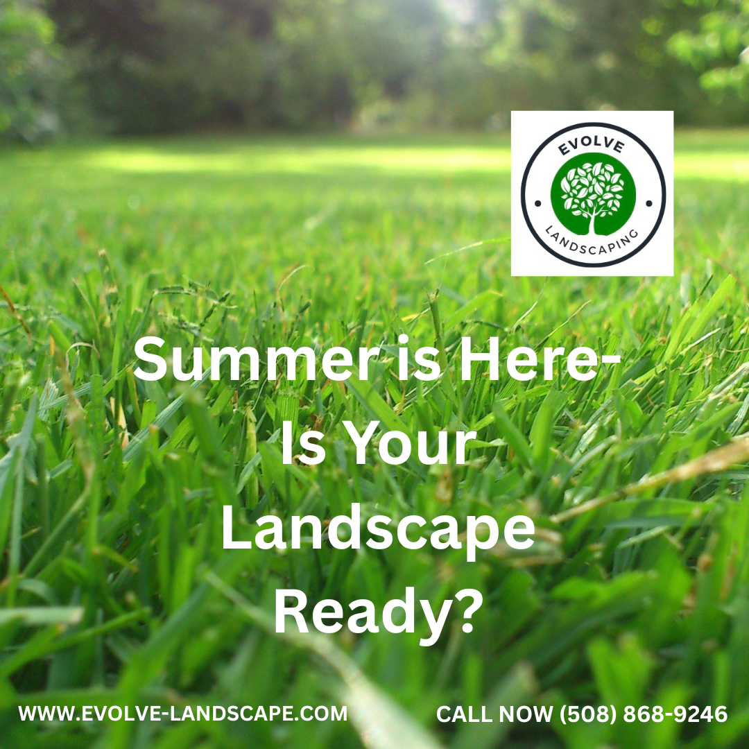 The Importance of Summer Landscape Maintenance at Home - Evolve Landscaping